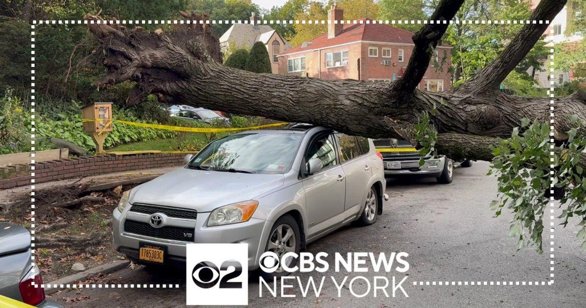 Rain, powerful winds topple tree onto SUV in Queens - CBS New York