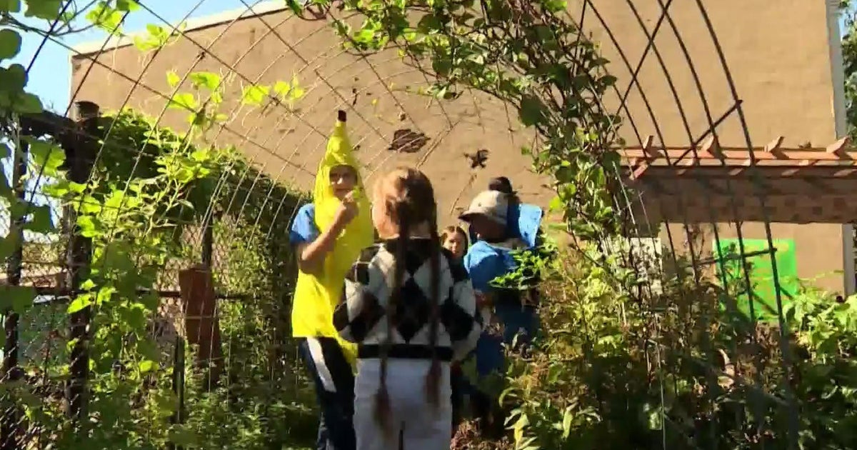 Students learning to go green as more schools teach about climate ...