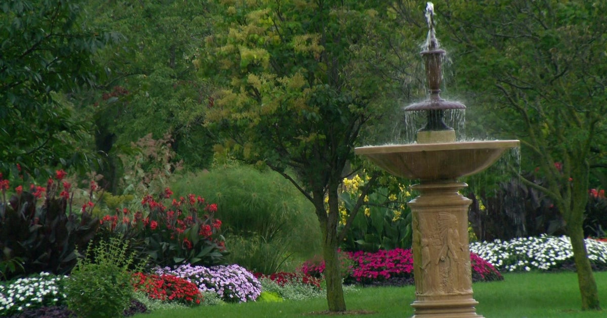 Minneapolis to hold community meeting on improving Lyndale Park Rose ...