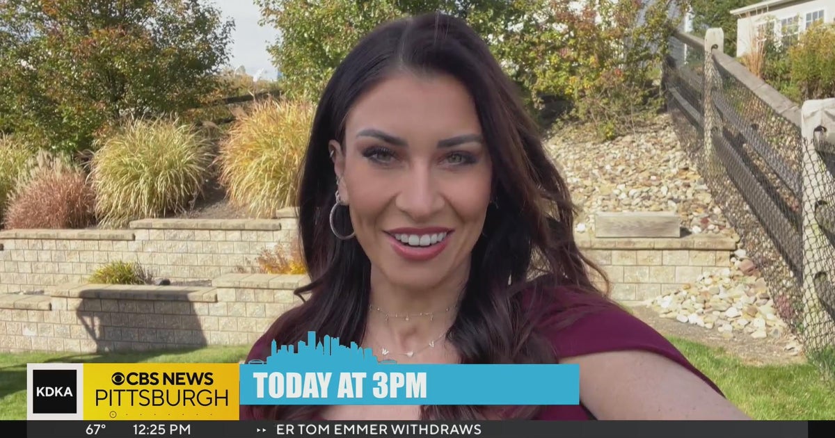 Today on Talk Pittsburgh - CBS Pittsburgh