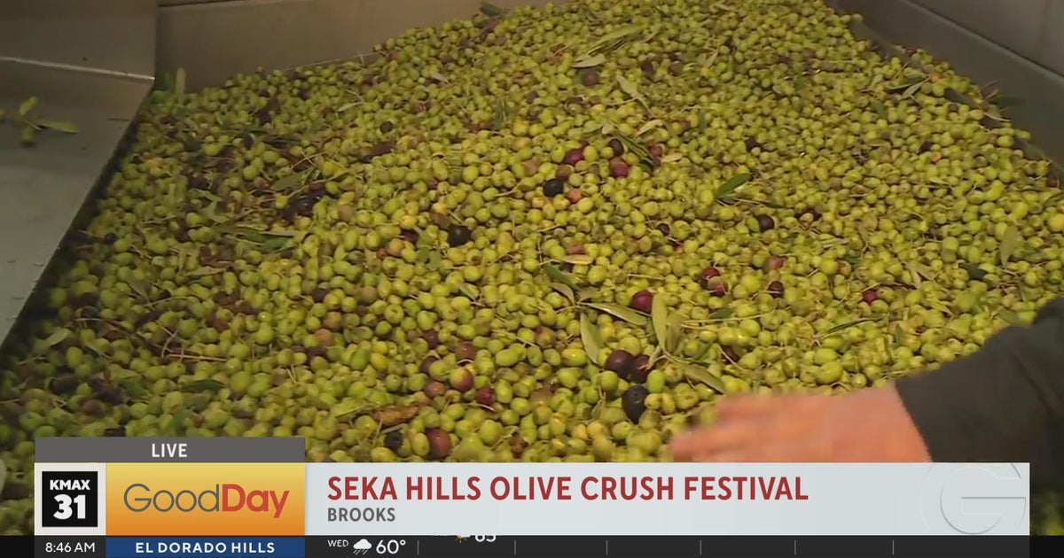 Seka Hills Olive Crush Festival - Good Day Sacramento