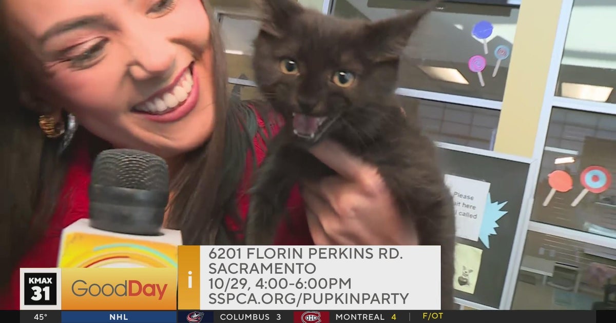 Sacramento SPCA - Good Day Sacramento