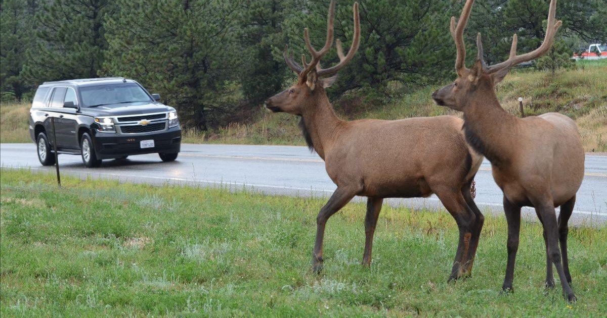 Colorado officials: change driving habits with time change to help ...