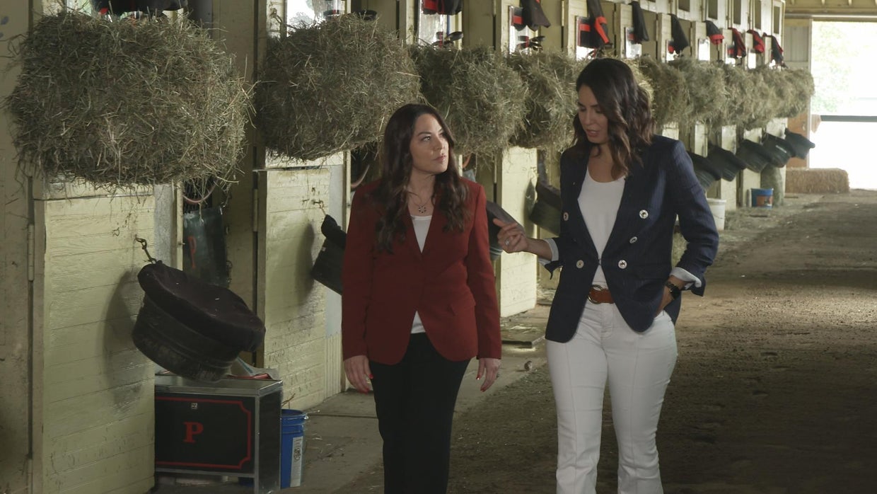 Horse racing cleaning up its act under new anti-doping rules | 60 ...