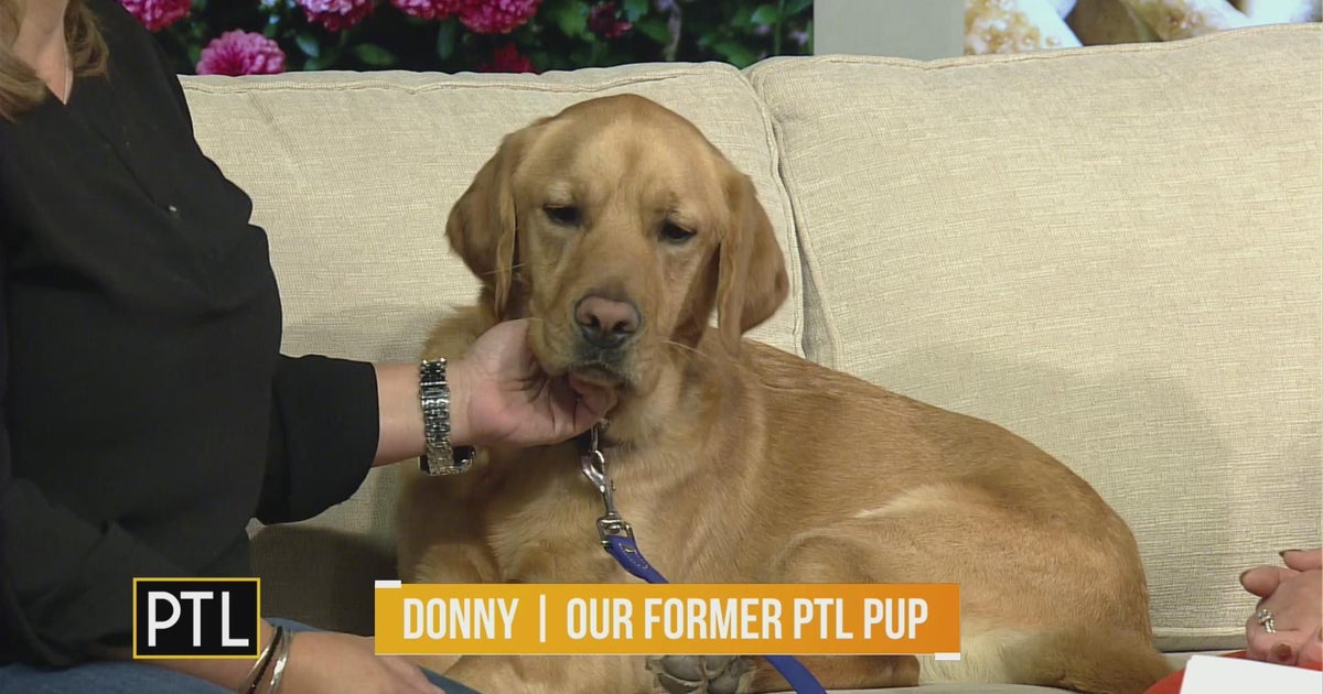 PTL Pupdate: Donny returns - CBS Pittsburgh