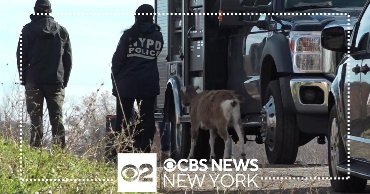 FBI raids Orange County properties in Gambino crime family probe - CBS ...