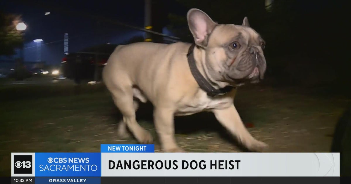 Sacramento couple held at gunpoint for ransom while trying to fetch ...