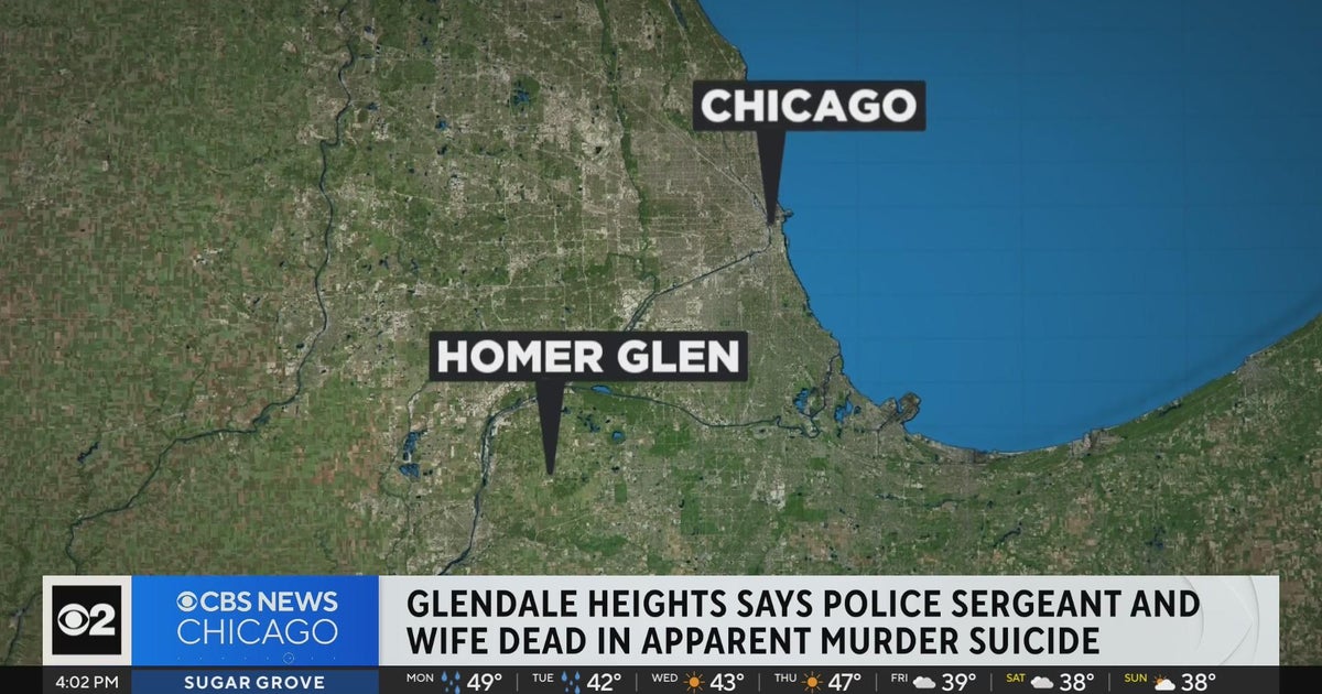 Glendale Heights police sergeant and wife dead in apparent murder ...