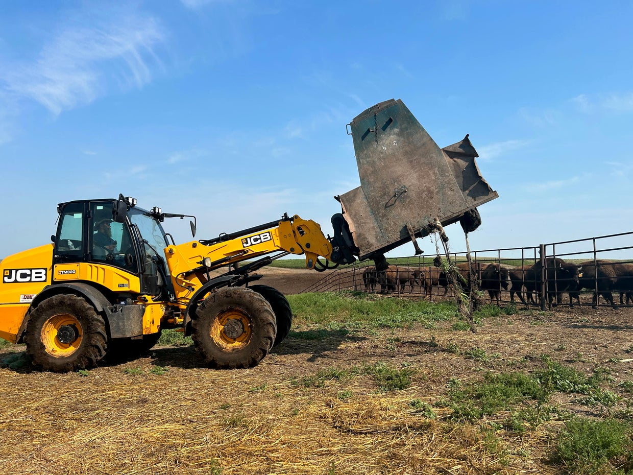Rural medics get long-distance help in treating man gored by bison ...