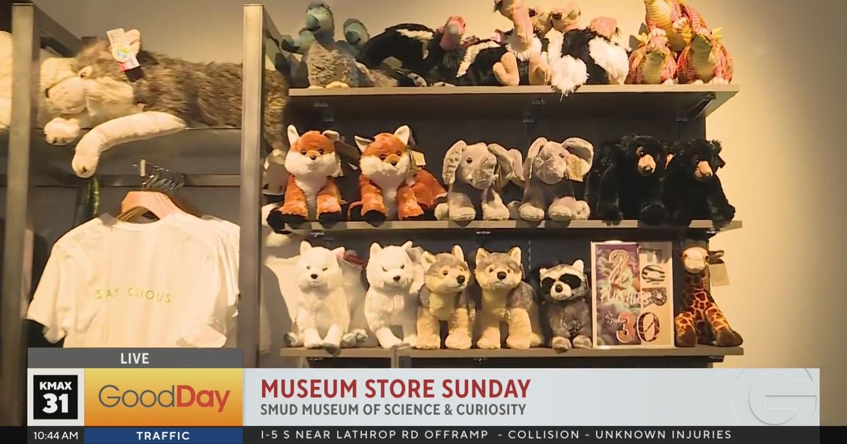 Museum Store Sunday at SMUD Museum of Science and Curiosity - Good Day ...