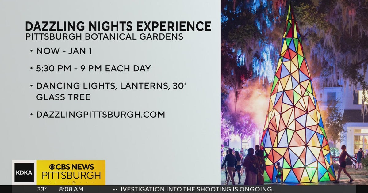 Pittsburgh Botanical Gardens now hosting Dazzling Nights light experience - CBS Pittsburgh