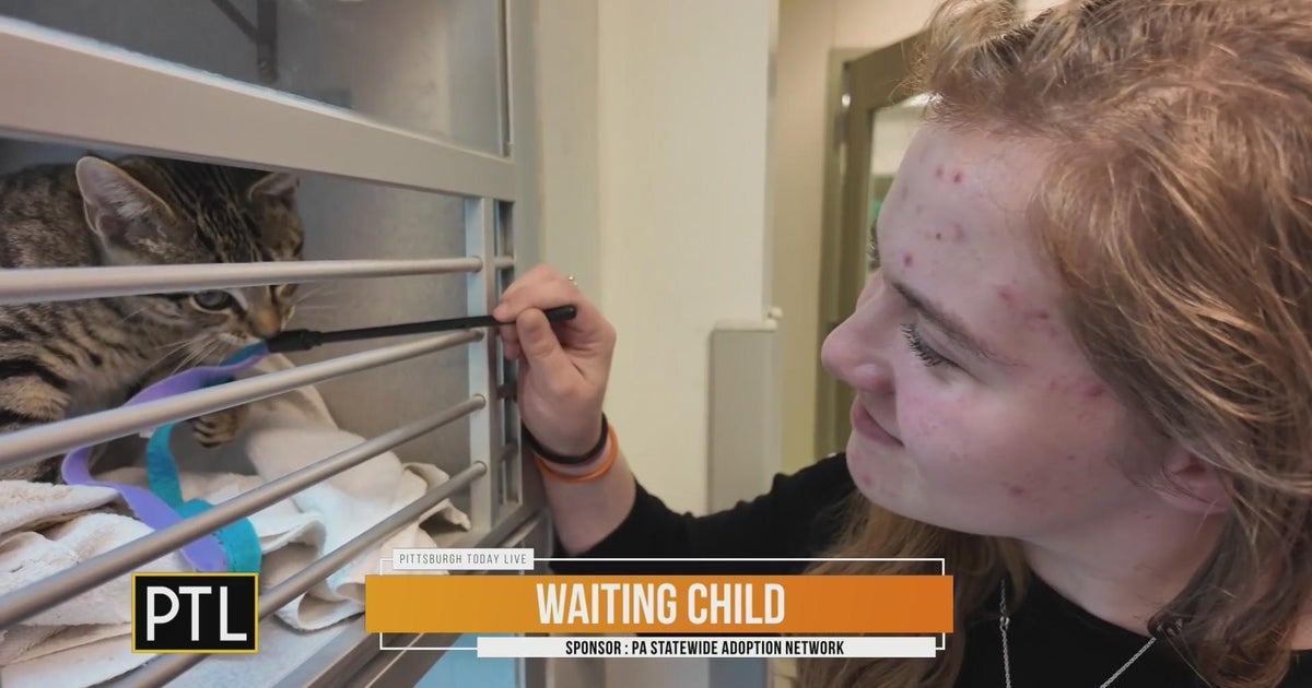 Waiting Child: Lacy Jo - CBS Pittsburgh