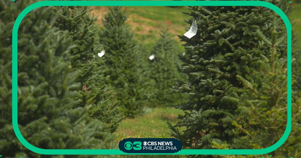 Partridge prices stay flat, pear tree prices increase in "12 Days of ...