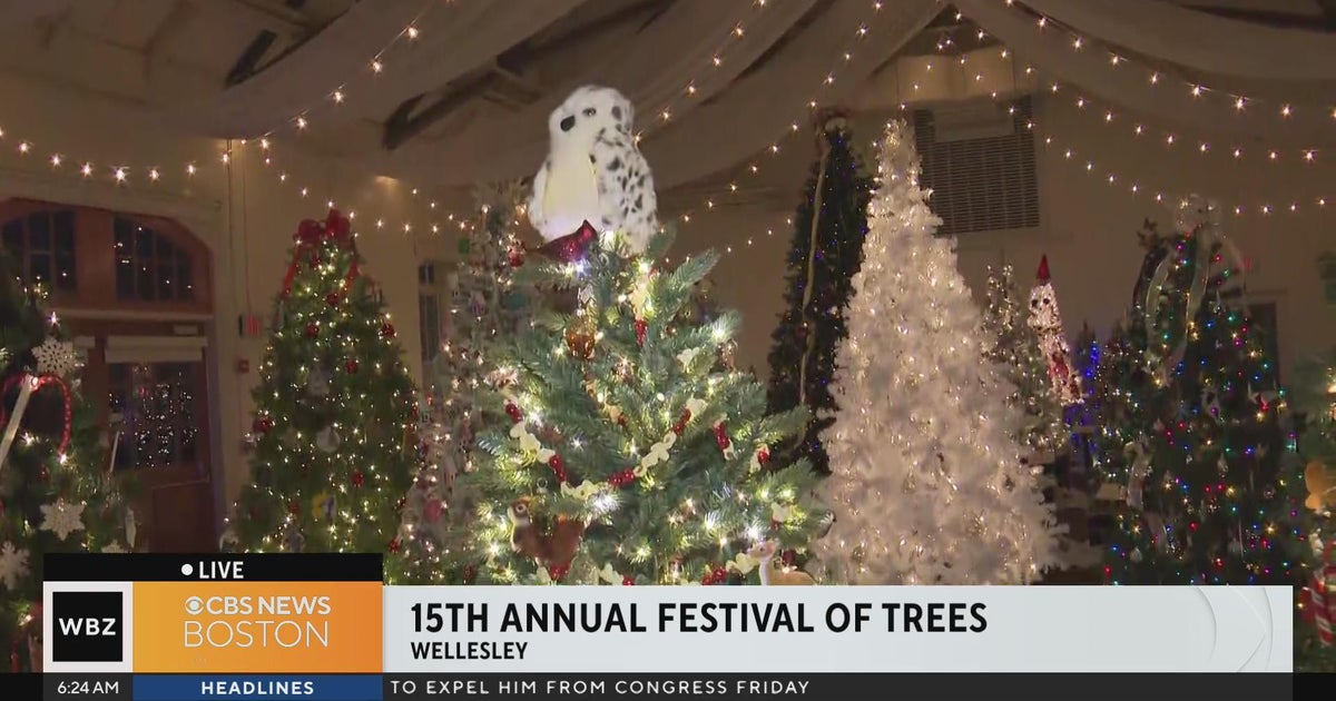 How you can win a Christmas tree at the Festival of Trees in Wellesley ...