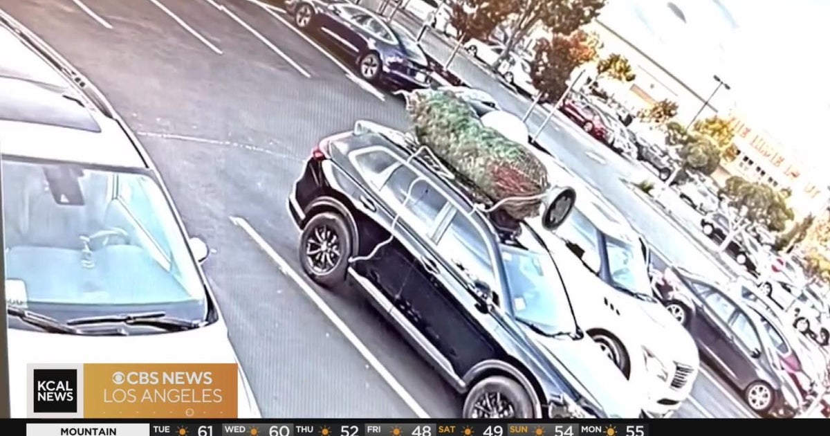 Christmas tree theft caught on camera - CBS Los Angeles