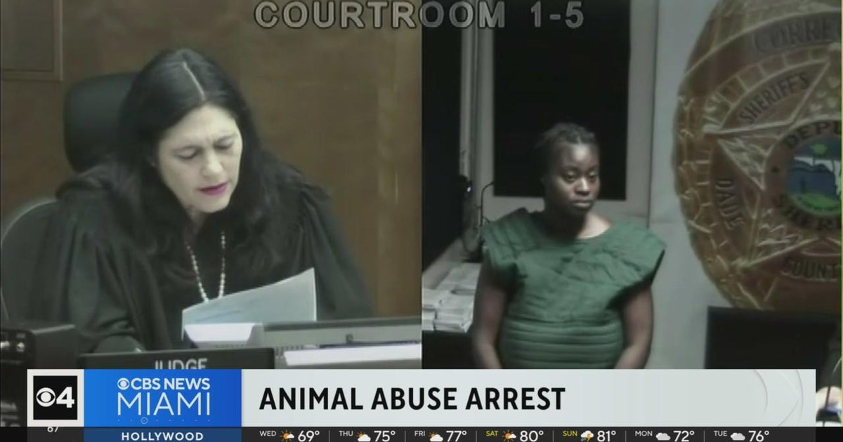 Miami animal abuse arrest - CBS Miami
