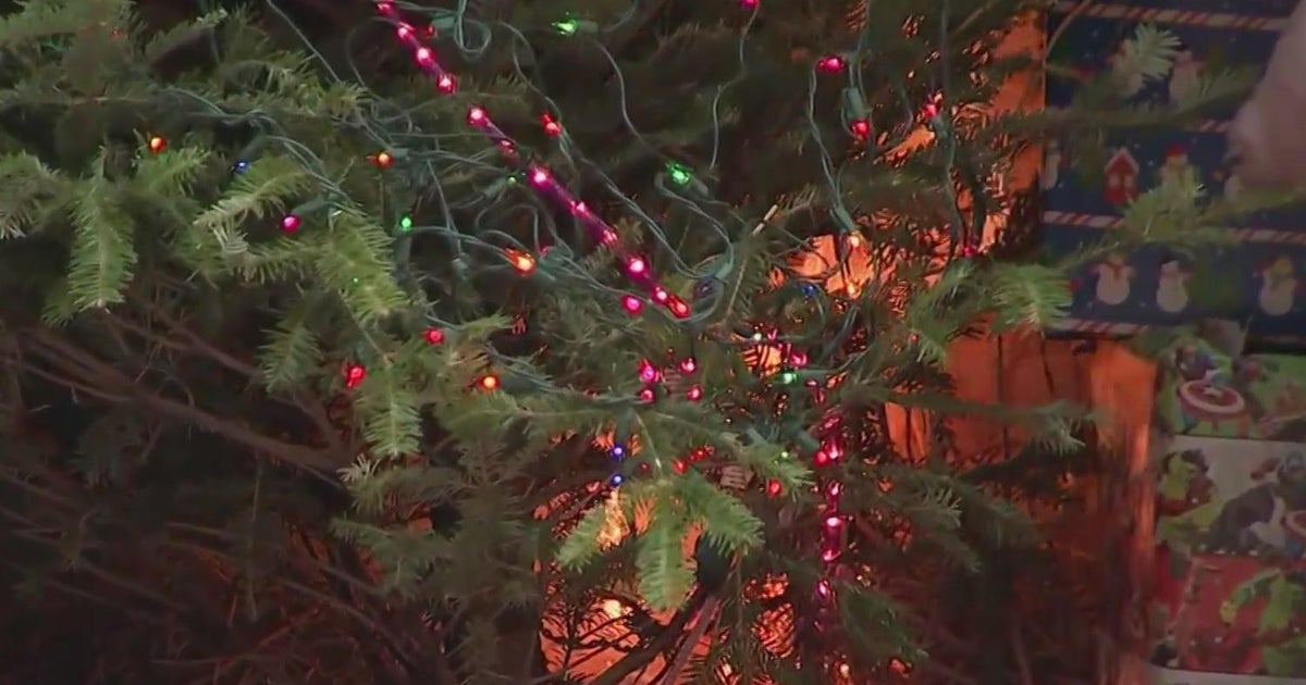 CFD demonstrates Christmas tree fire dangers - CBS Chicago