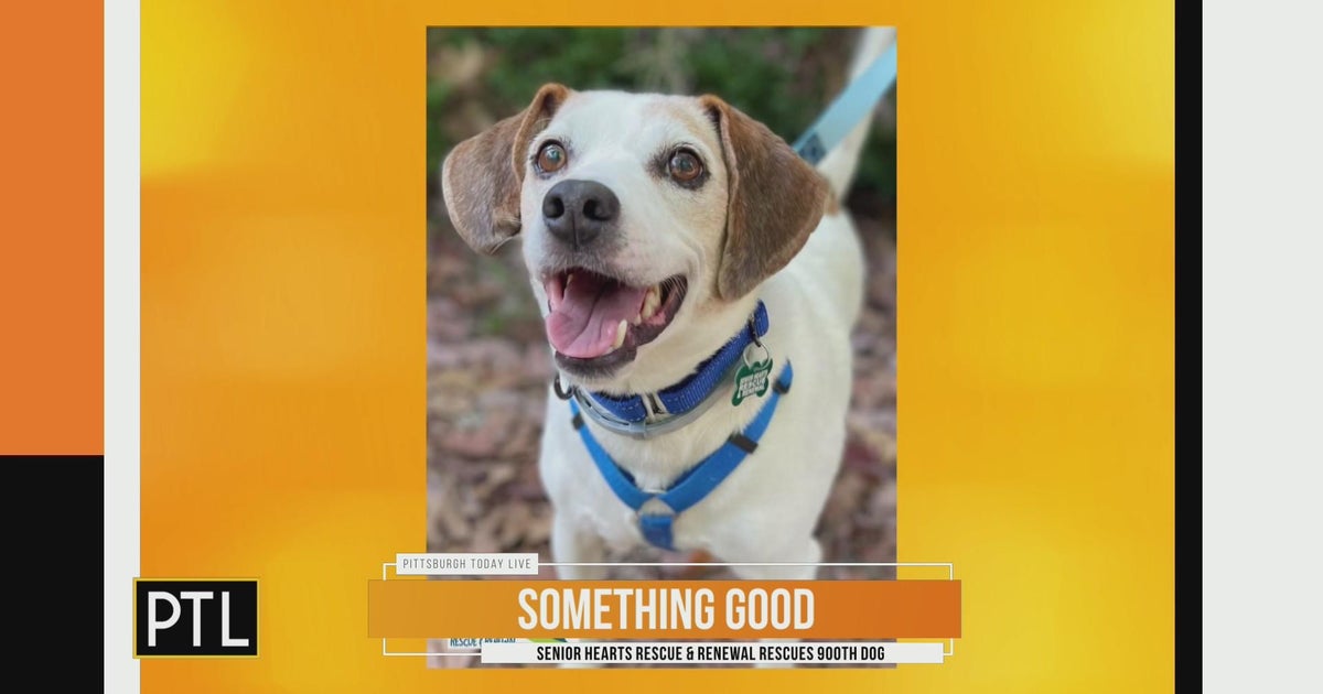 Something Good: Senior Hearts' 900th rescue - CBS Pittsburgh