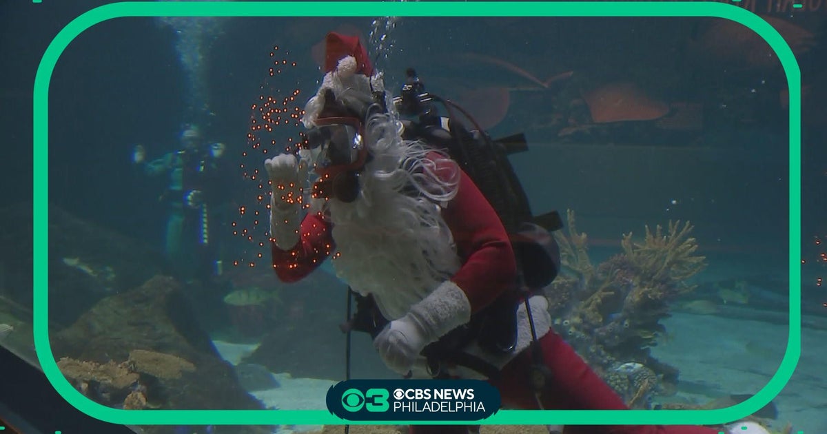 Check out Christmas Underwater featuring Scuba Santa at Adventure ...