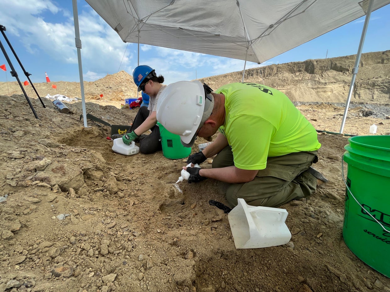 Coal miners lead paleontologists to partial mammoth fossil in North Dakota - CBS News