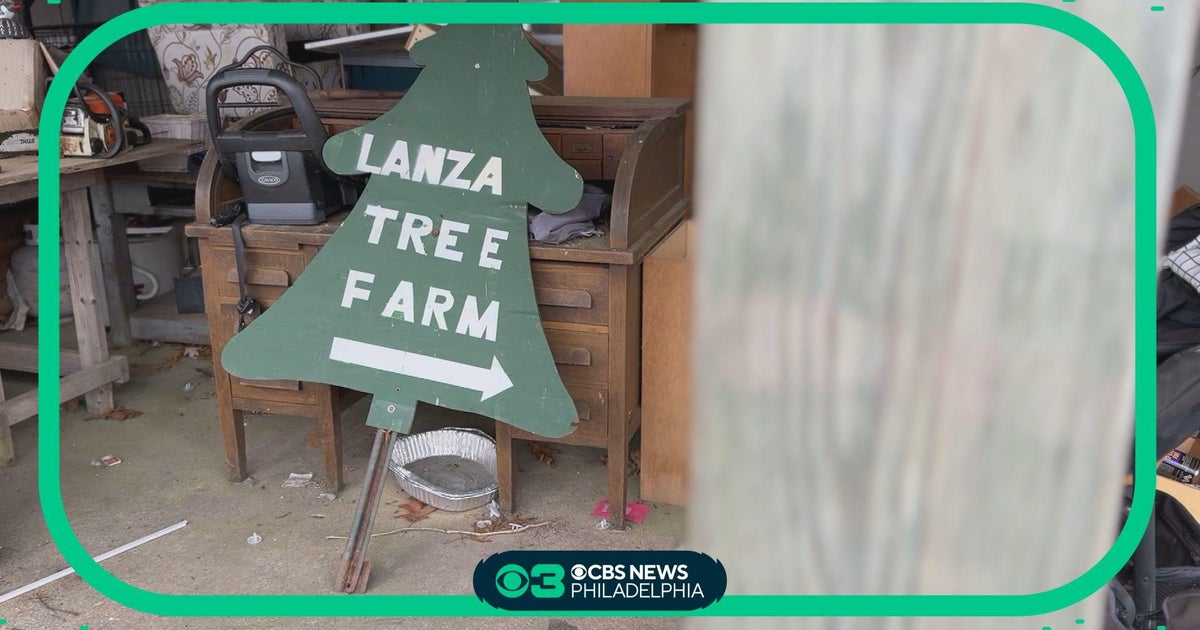 Last season for South Jersey's Lanza Tree Farm - CBS Philadelphia
