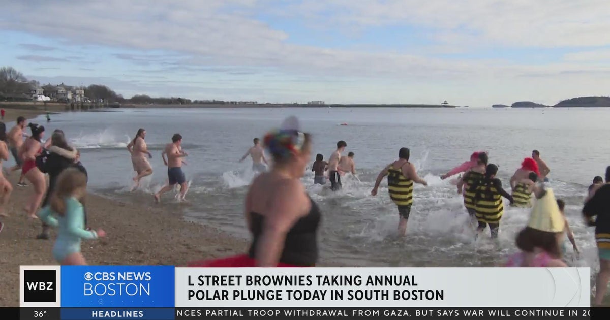 Cold Plunge Boston