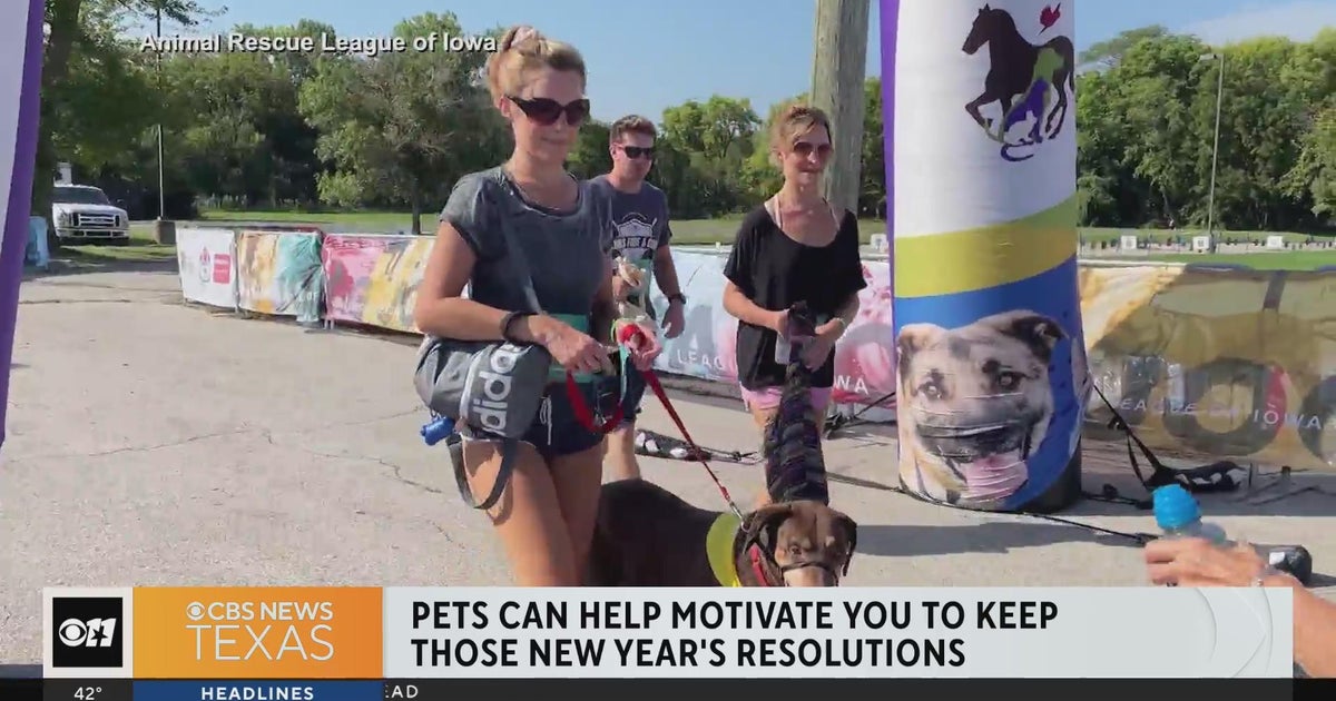Pets can help motivate you to keep resolutions - CBS Texas