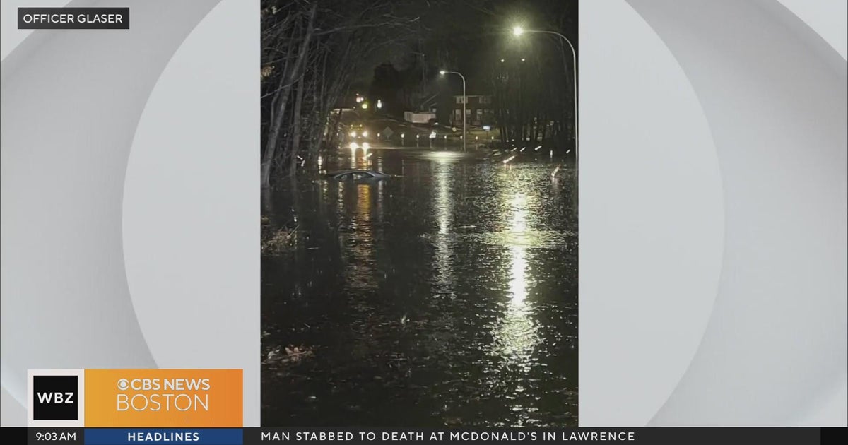 Norwood firefighters save driver hanging from tree after escape from ...