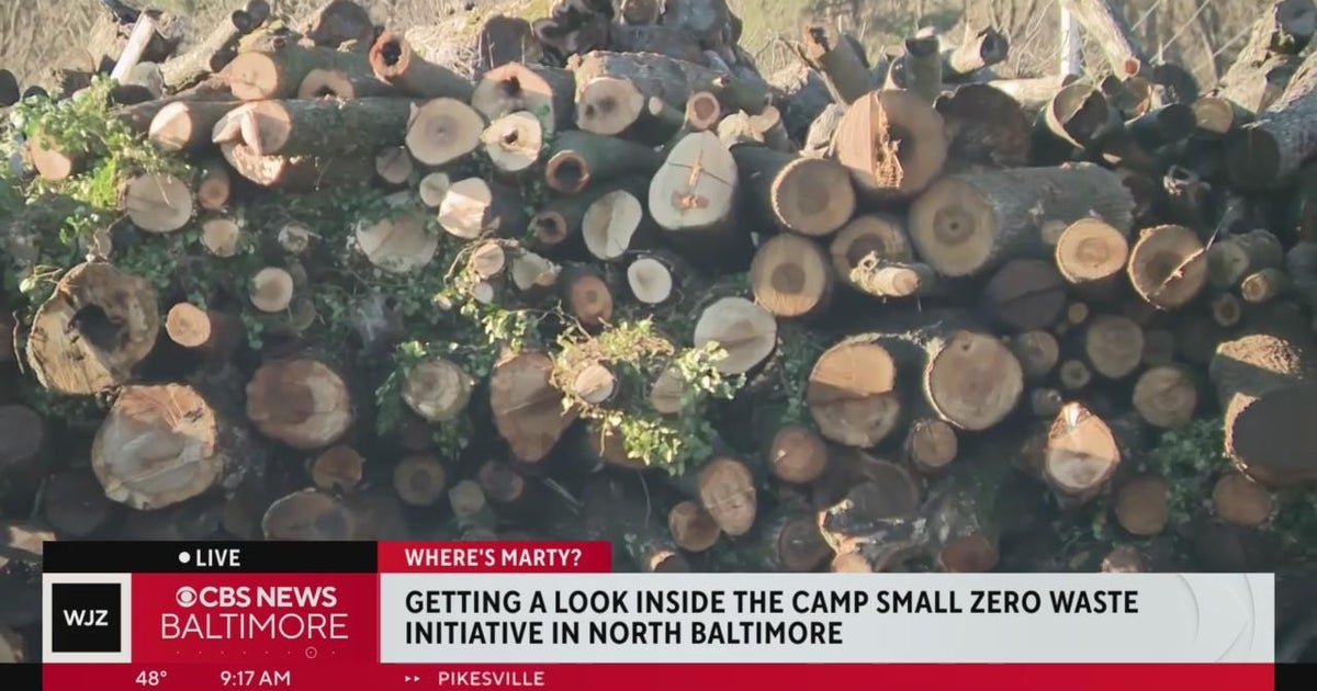 Where's Marty? Checking out Camp Small's zero-waste initiative - CBS ...