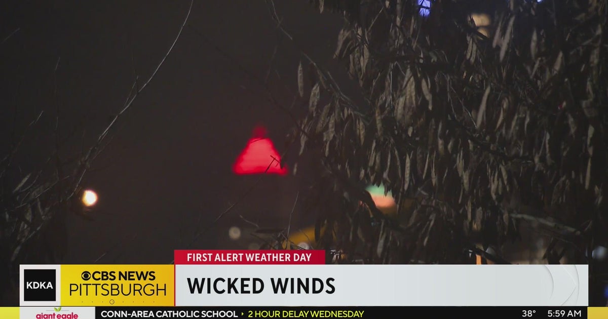 Team Coverage: Wicked winds prompt second straight First Alert Weather ...