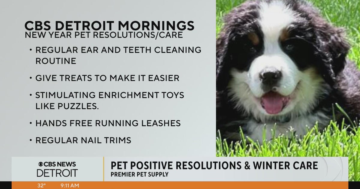Pet positive resolutions and winter care tips - CBS Detroit