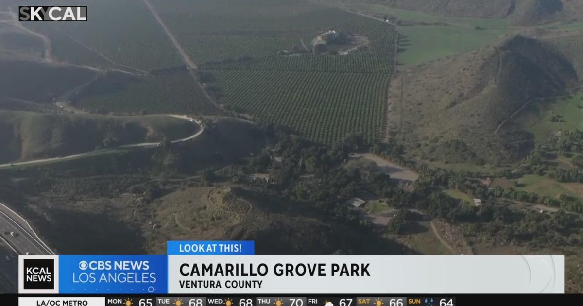 Camarillo Grove Park | Look At This! - CBS Los Angeles