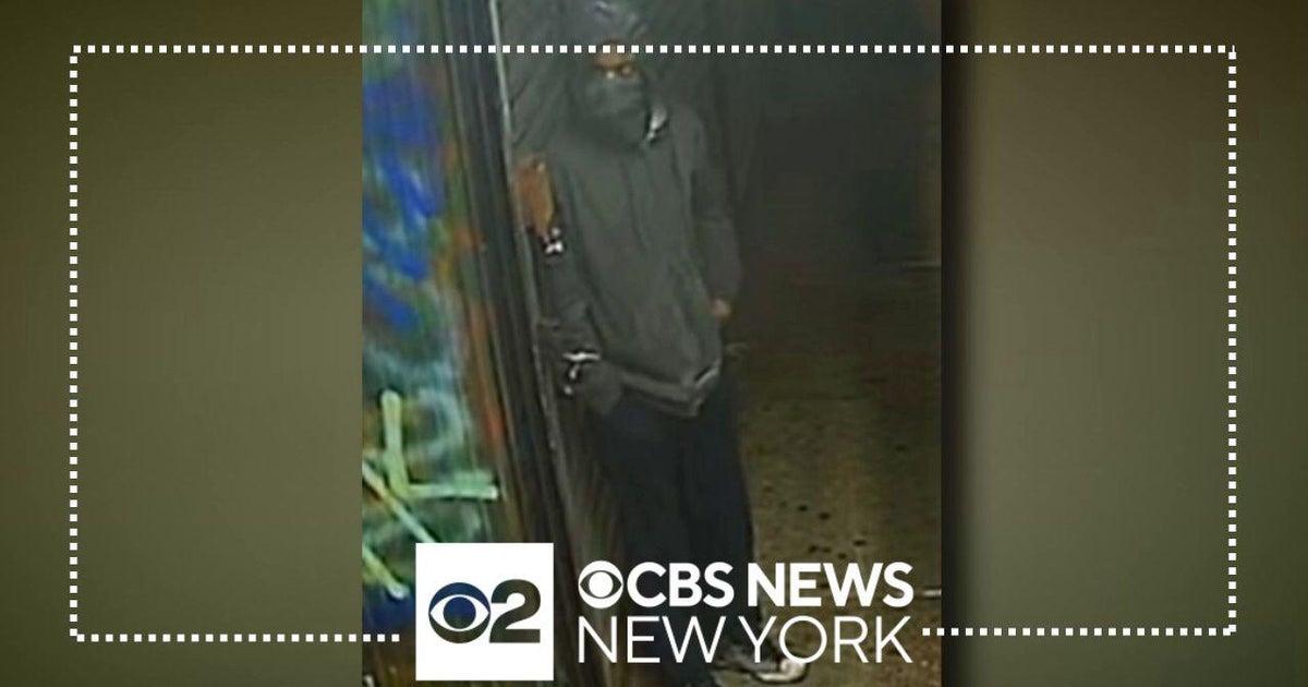 High praise for quick arrest of stabbing spree suspect - CBS New York