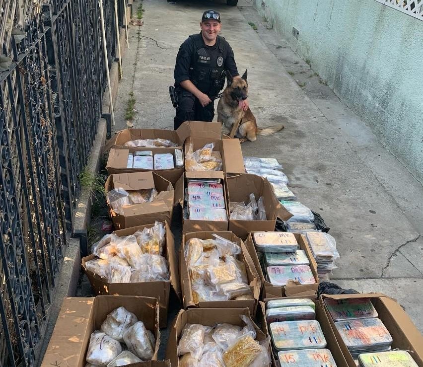 Manhattan Beach police dog retires with career highlight of 2,500 ...