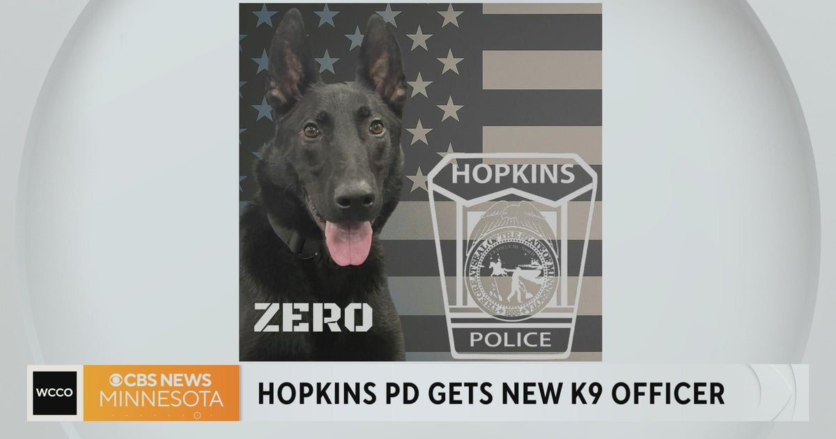 Meet Zero, Hopkins Police’s first K-9 in 20-plus years - CBS Minnesota