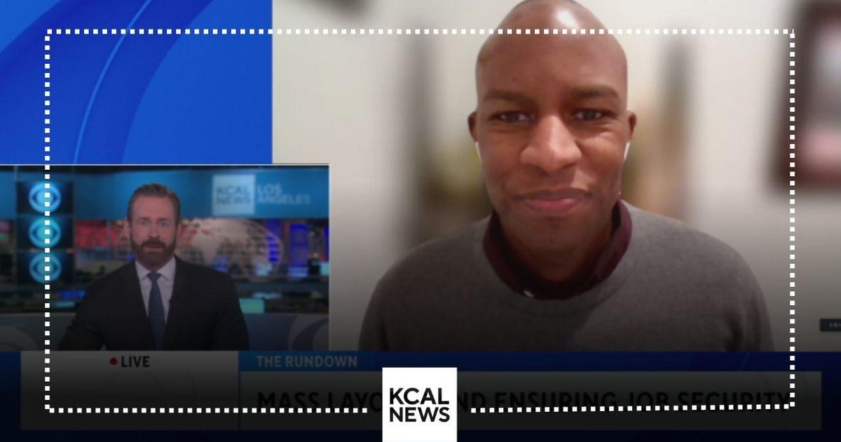 Expert on major media layoffs, tips for job seekers, and ensuring job ...