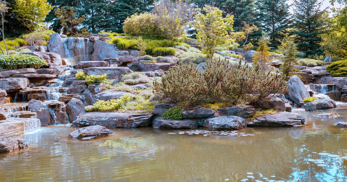 Two Michigan sculpture parks nominated to be named best in US - CBS Detroit