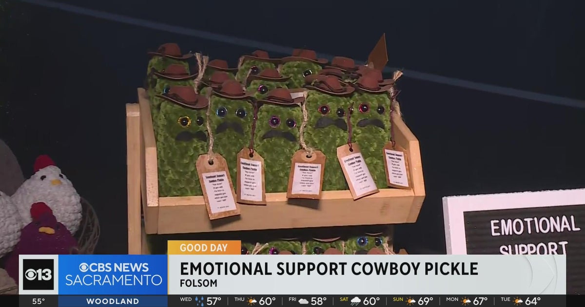 Emotional support cowboy pickle - CBS Sacramento