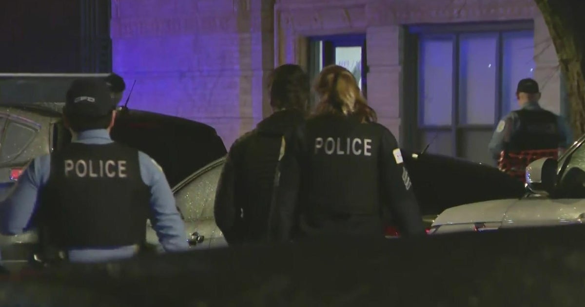 Chicago police confirms 9 armed robberies, 1 attempted are connected ...