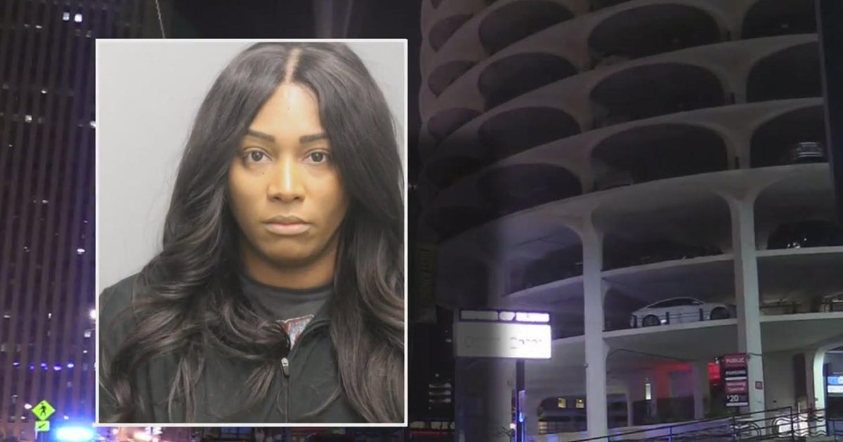 Family of woman hit, killed plans to sue CPD officer charged with DUI ...