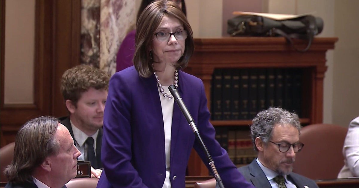 Minnesota Senate Majority Leader Kari Dziedzic to step down, citing ...