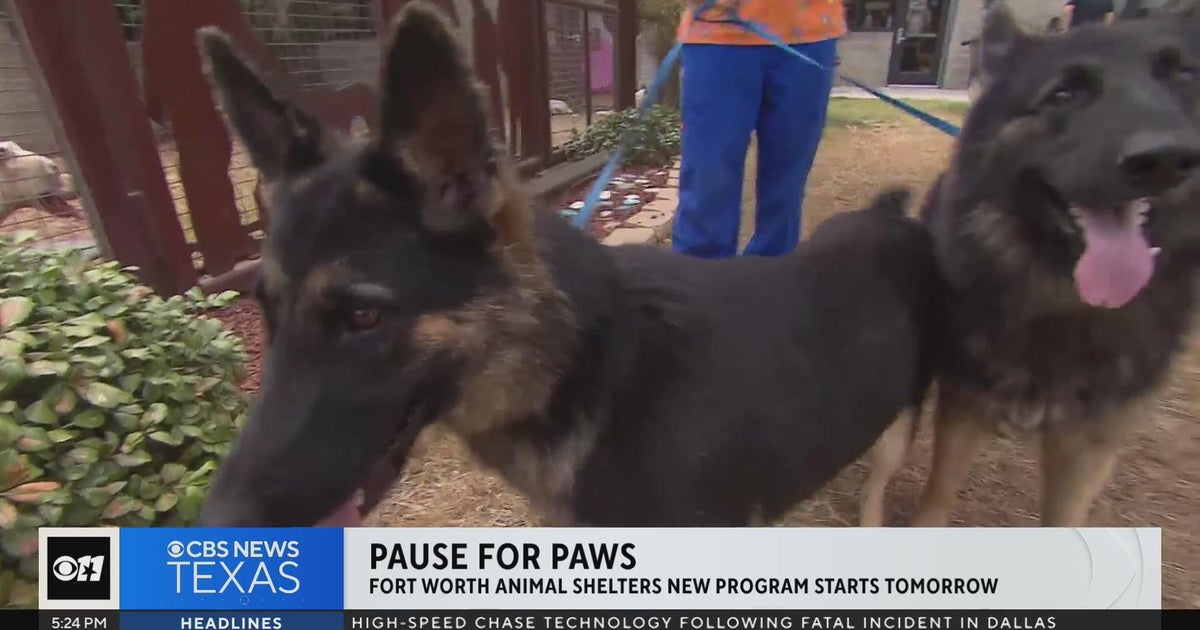 "Pause for Paws": Ft Worth city animal shelters to close one day a week ...