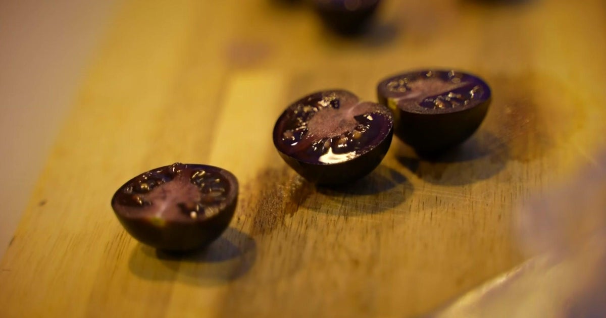 Purple tomatoes? Why a California company is planting seeds of ...