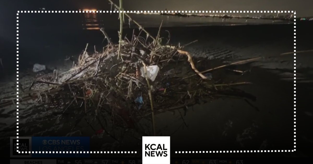 Trash starts to wash up on shores as rain subsides - CBS Los Angeles
