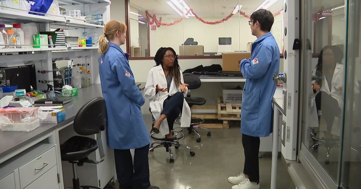 Northwestern research sheds light on how soil affects climate - CBS Chicago