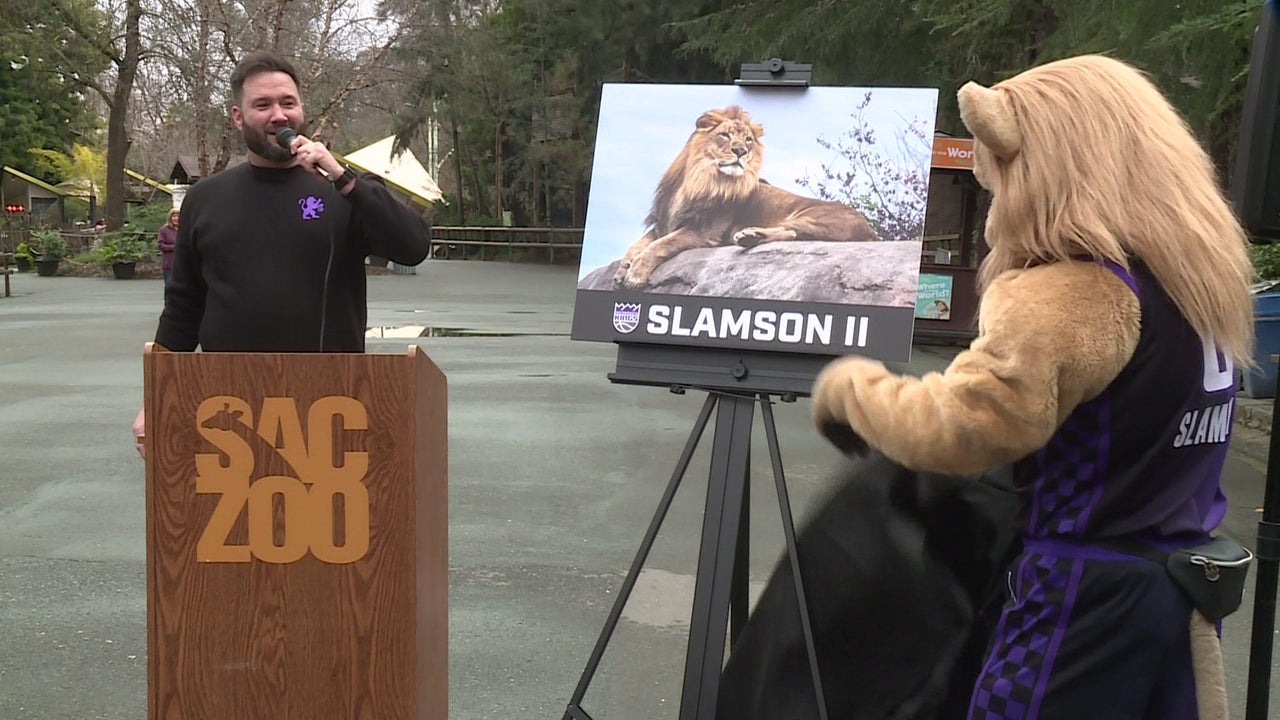 Sacramento Zoo news - Today’s latest updates - CBS Sacramento