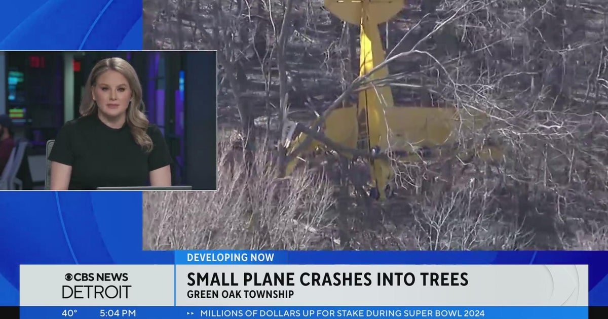 Plane crashes into tree after burst of wind in Livingston County - CBS ...