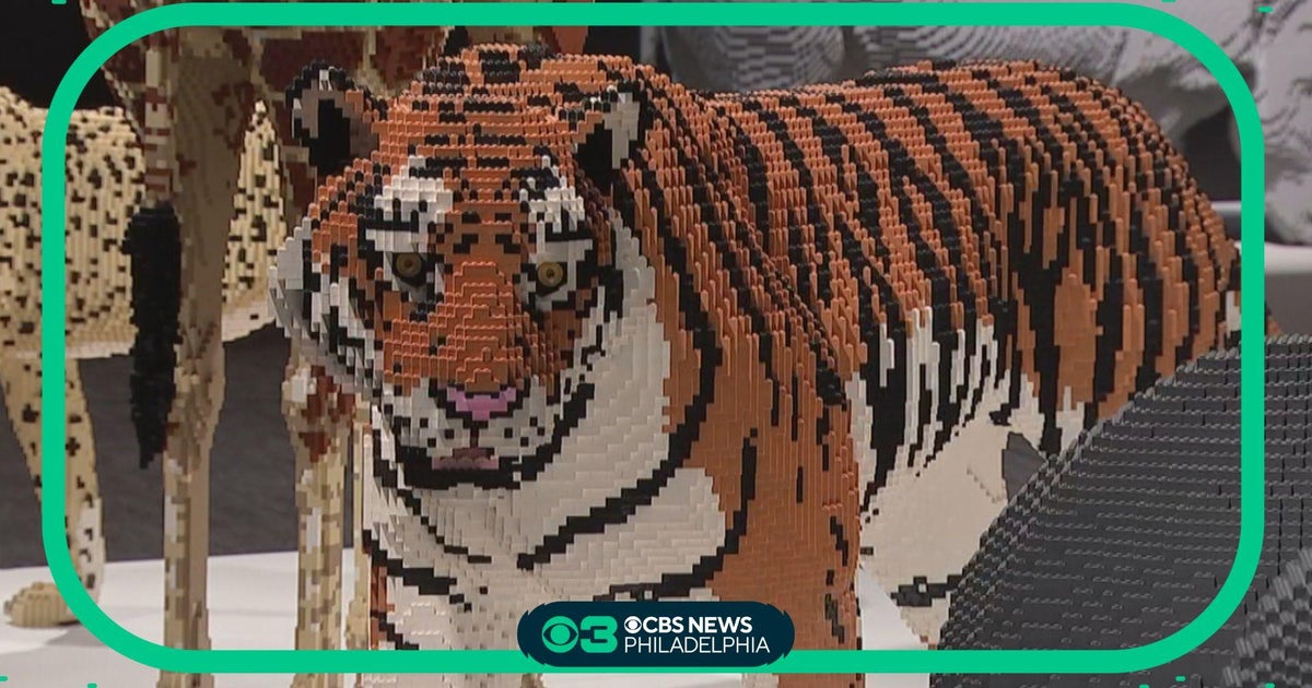 LEGO exhibit The Art of the Brick returns to Franklin Institute - CBS ...