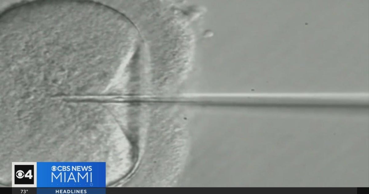 How Alabama Supreme Court ruling on frozen embryos affects Florida ...