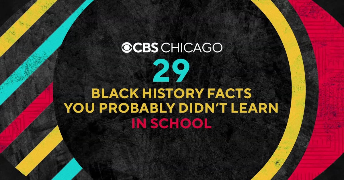 29 Black History Facts You Probably Didn't Learn at School: Lesson 28 ...